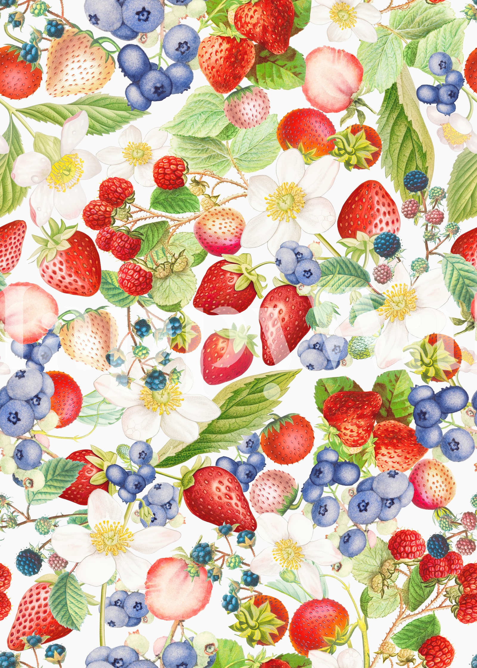 Colorful Berry Fruit Floral Wallpaper
