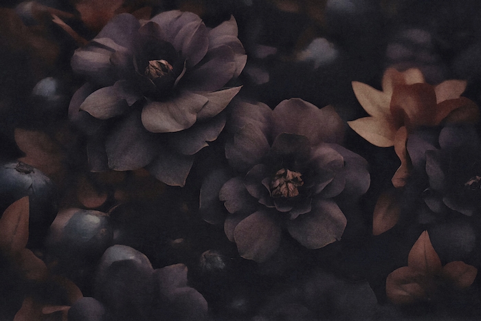 Atmospheric Floral Splendor Dark Brown - HappyWall