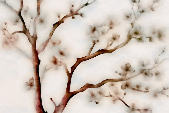 Antique Japanese Sakura Tree Branch Wallpaper