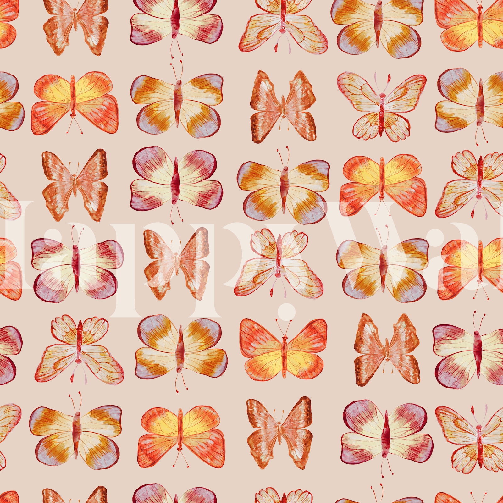 Butterfly Grid Wallpaper - happywall.com