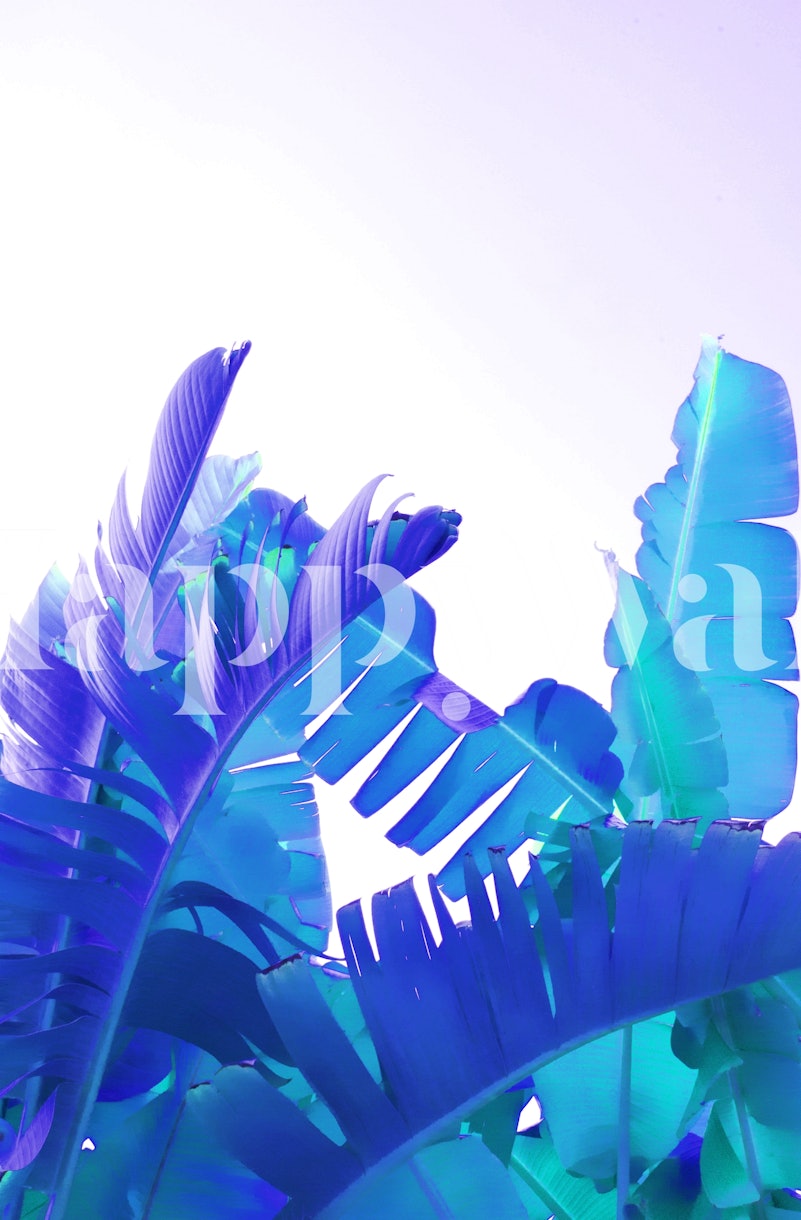 Banana Leaves Tropical 1 Wallpaper - Happywall