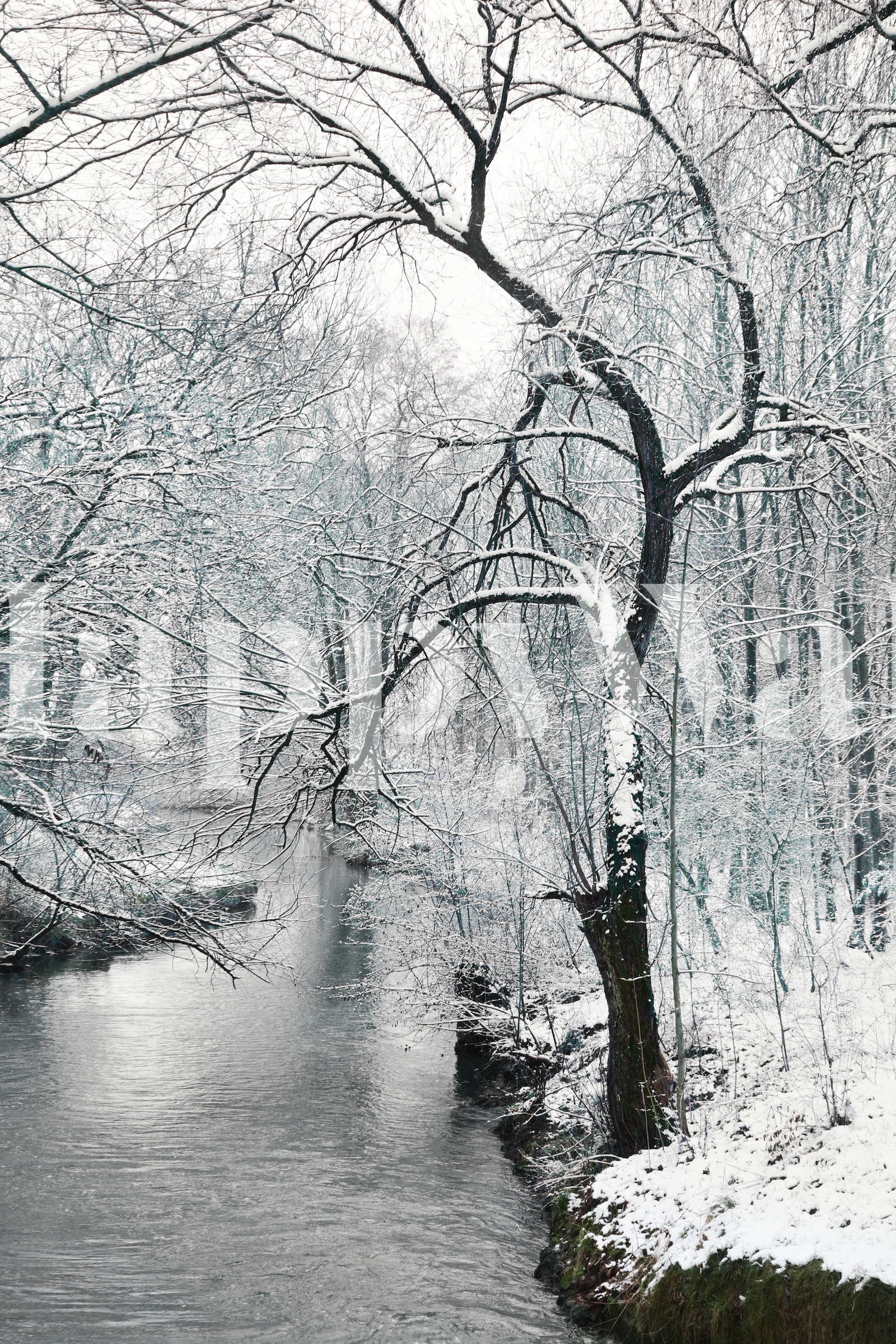 Snowy River Scene Wallpaper