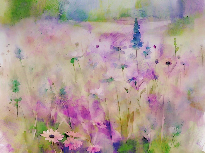 Dreamy Wildflower Meadow - Happywall