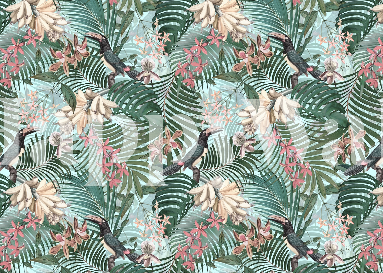 Tropical Toucan Birds Jungle Wallpaper - Happywall