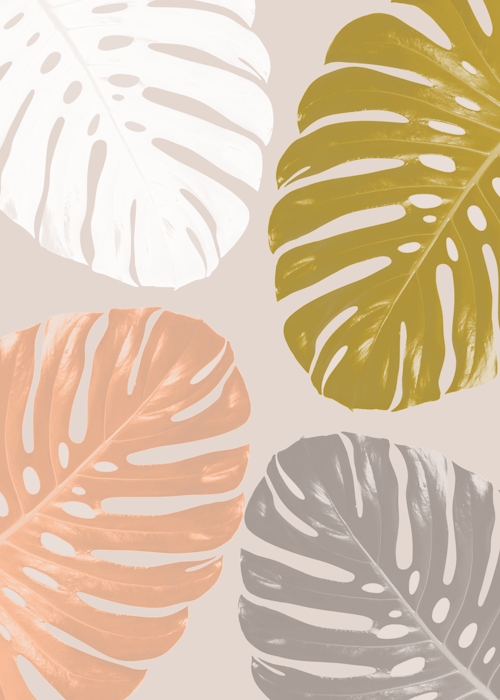 Neutral Monstera Leaf Wallpaper for Living Room