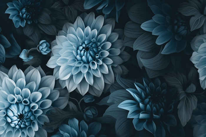 Opulent Moody Dahlia Flowers Teal Blue - happywall.com