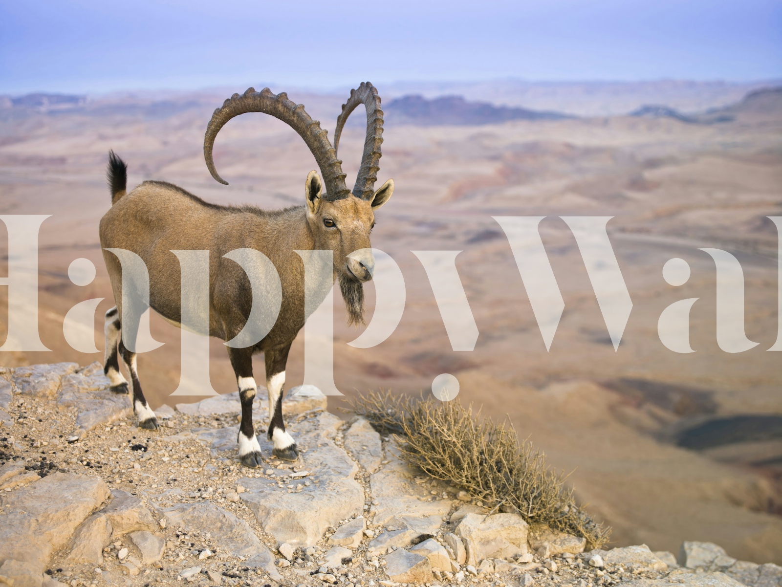 Cliff Dweller Wallpaper | Happywall