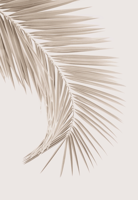 Tan Palm Leaf Wallpaper | happywall.com