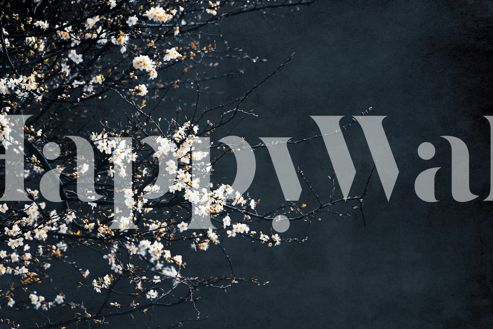 Flower Blossom Tree Wallpaper - happywall.com