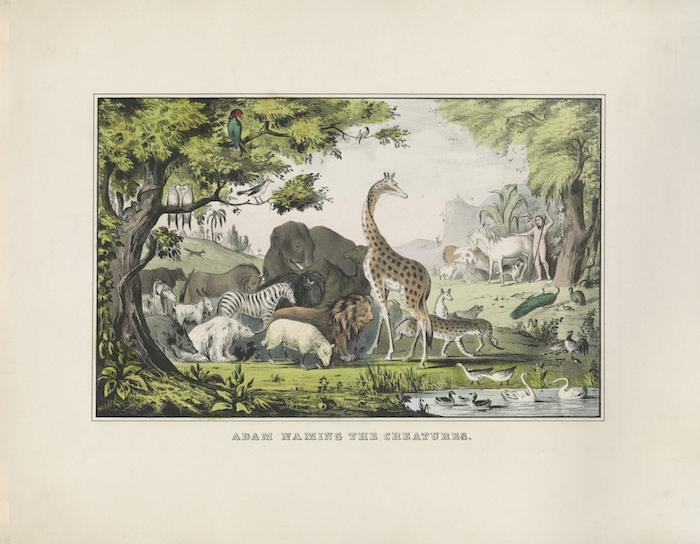 Adam Naming the Creatures Wallpaper - Buy Online | Happywall
