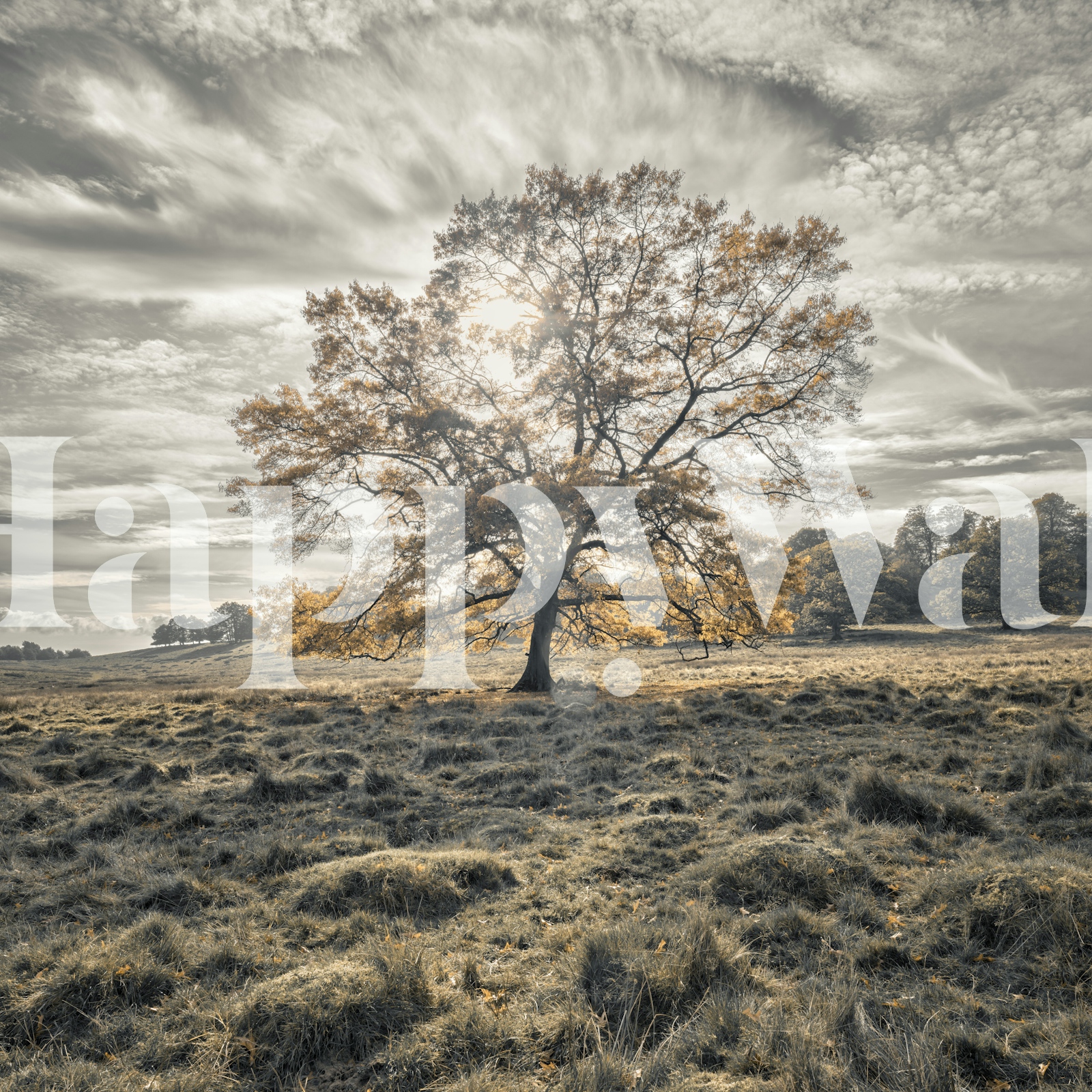 Lonely Sentinel Wallpaper | Happywall.com