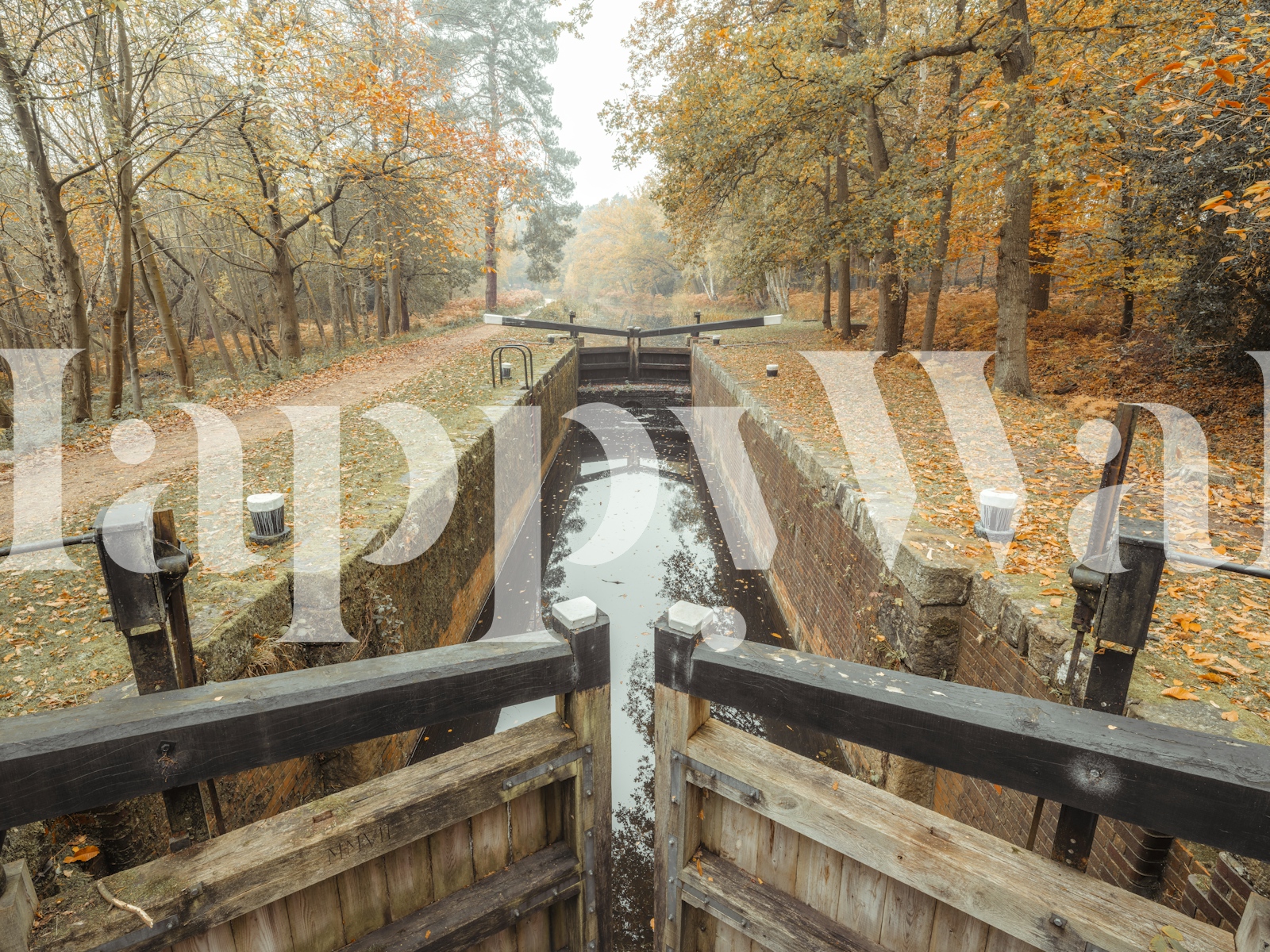 Forest Lock Wallpaper - happywall.com