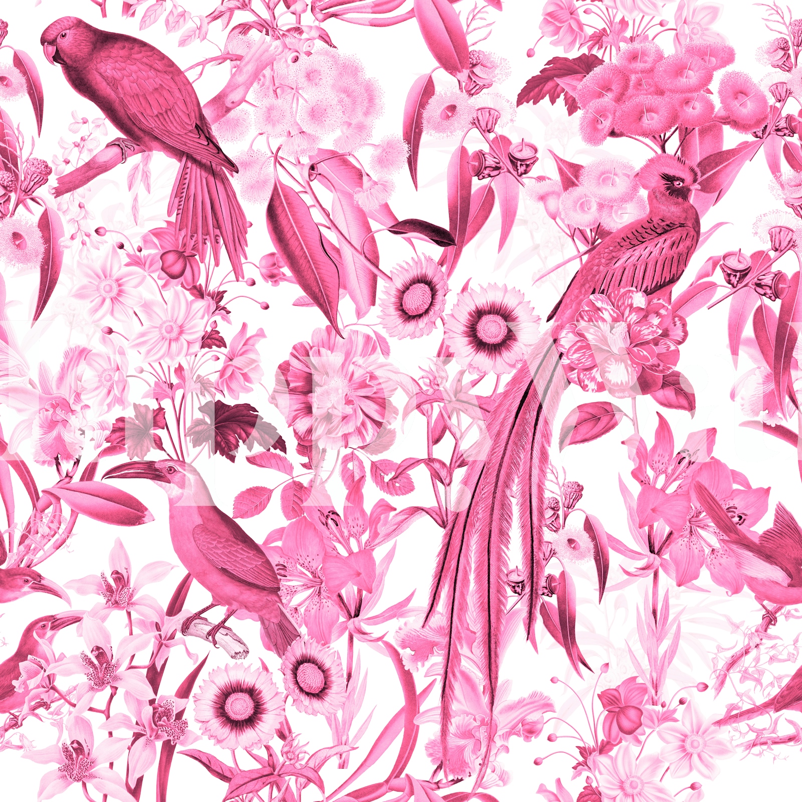 Delia Silvae Wallpaper | Happywall.com