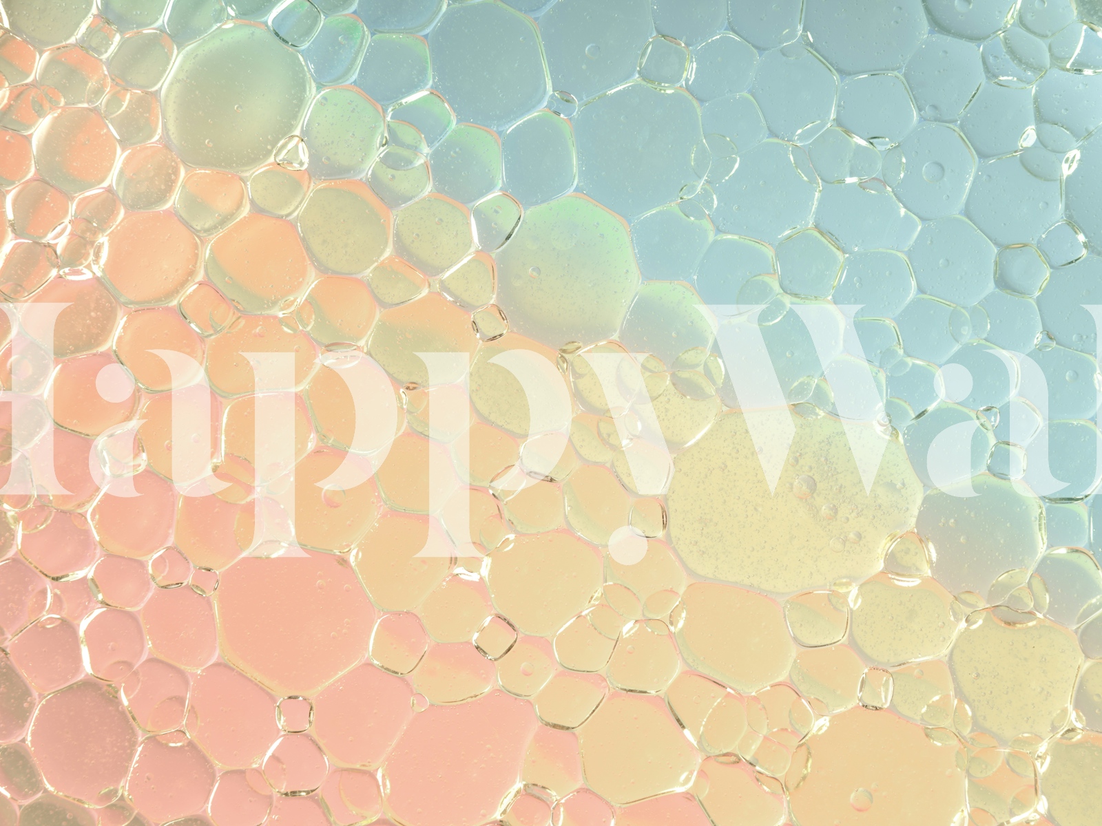 Colorful Honeycomb Wallpaper