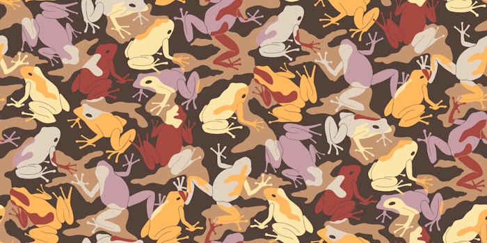 Frog Camouflage Wallpaper - Happywall.com