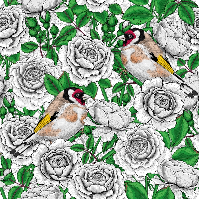 White Rose Floral and Goldfinch Wallpaper