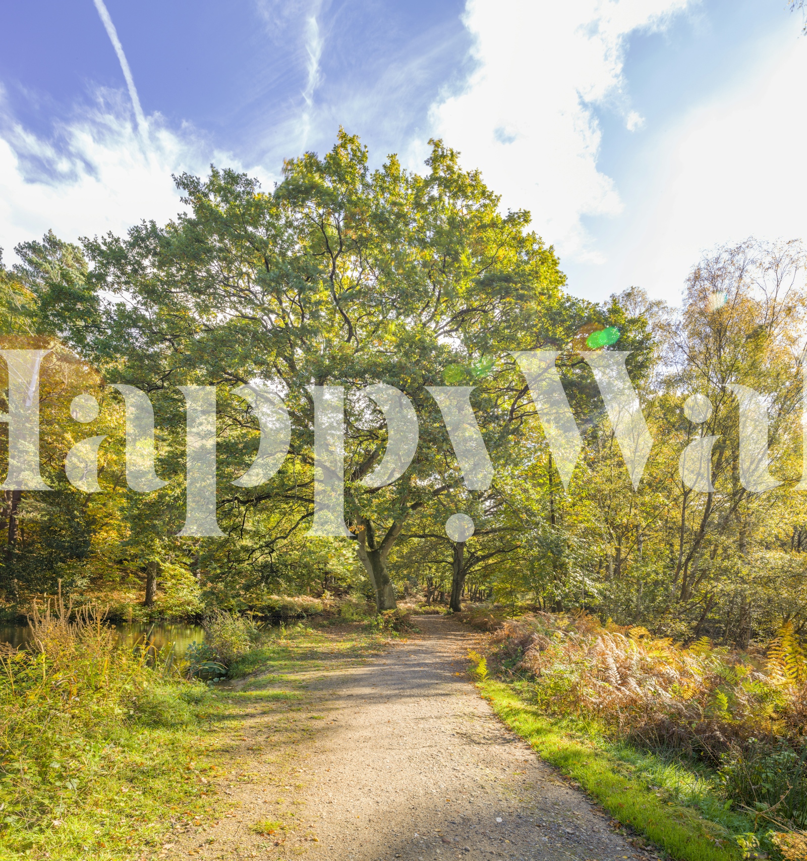 Canal Path Serenity Wallpaper - Happywall