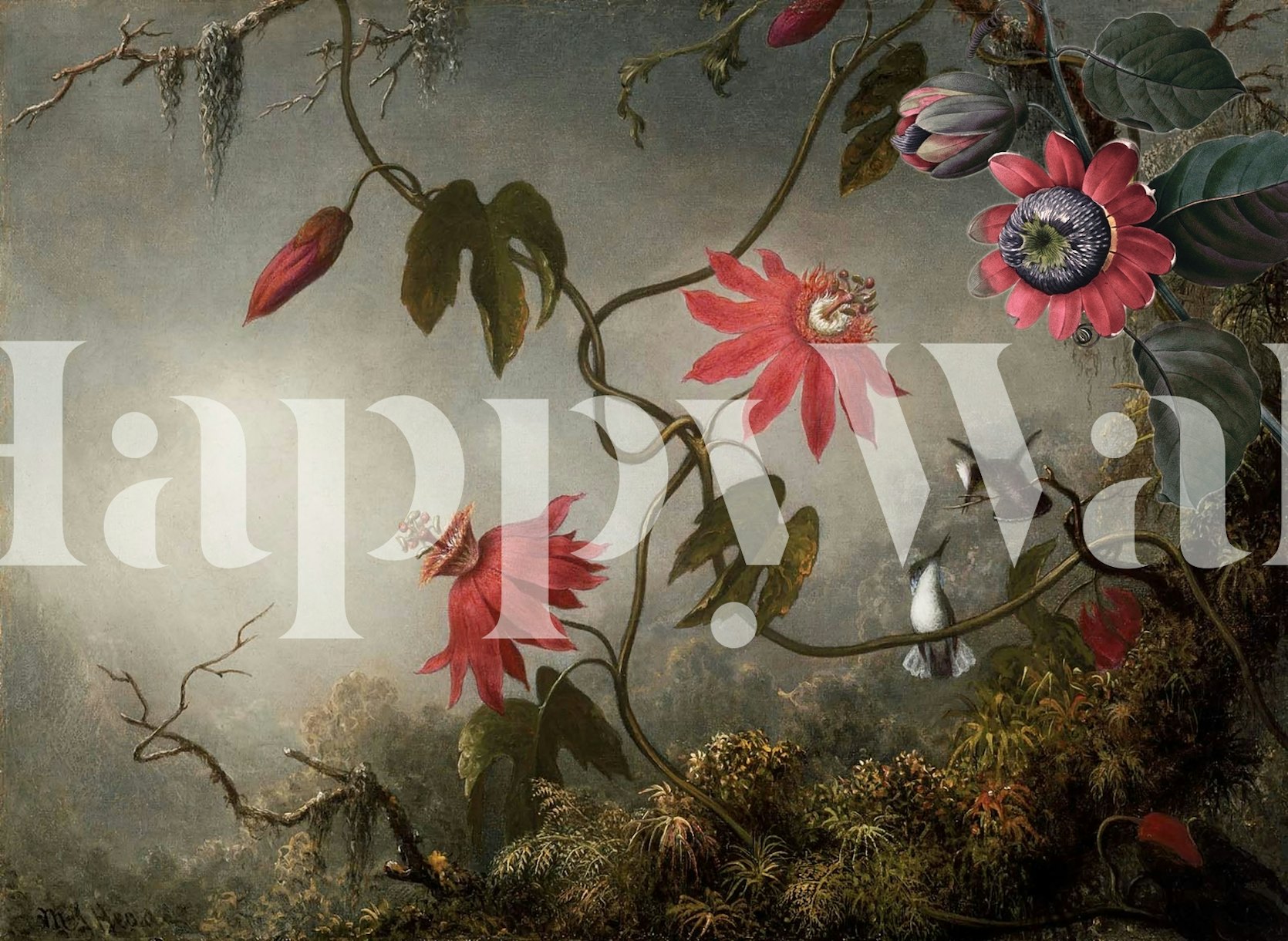 Tropical Flower Jungle Wallpaper - Buy Online from Happywall