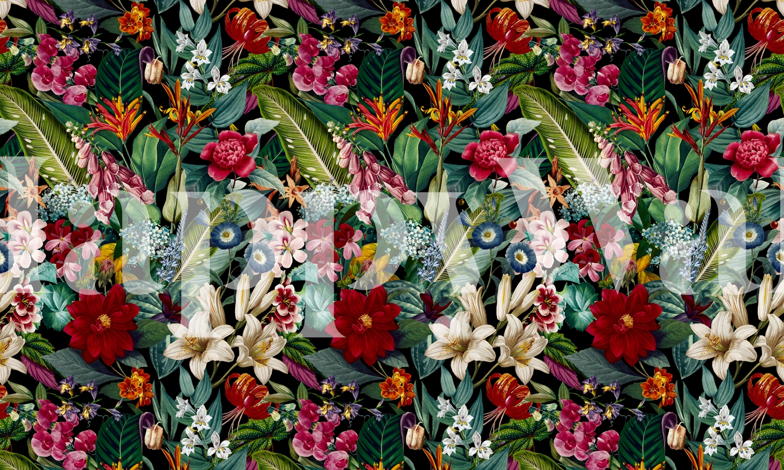 Vibrant Floral Tropical Wallpaper