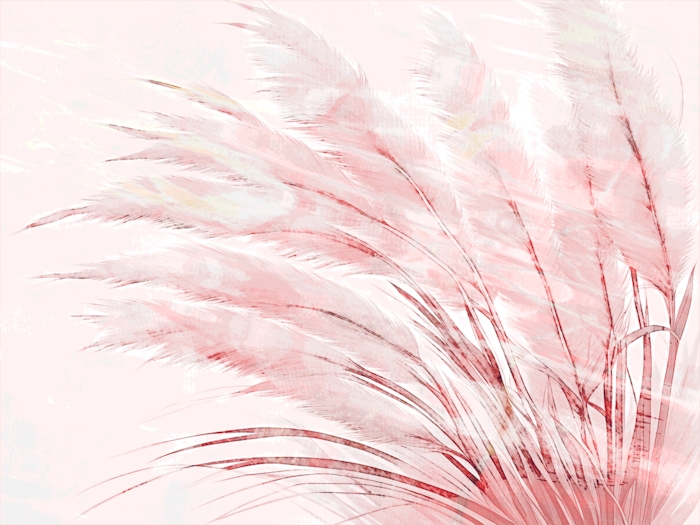 Pastel Wabi Sabi Grass Wallpaper