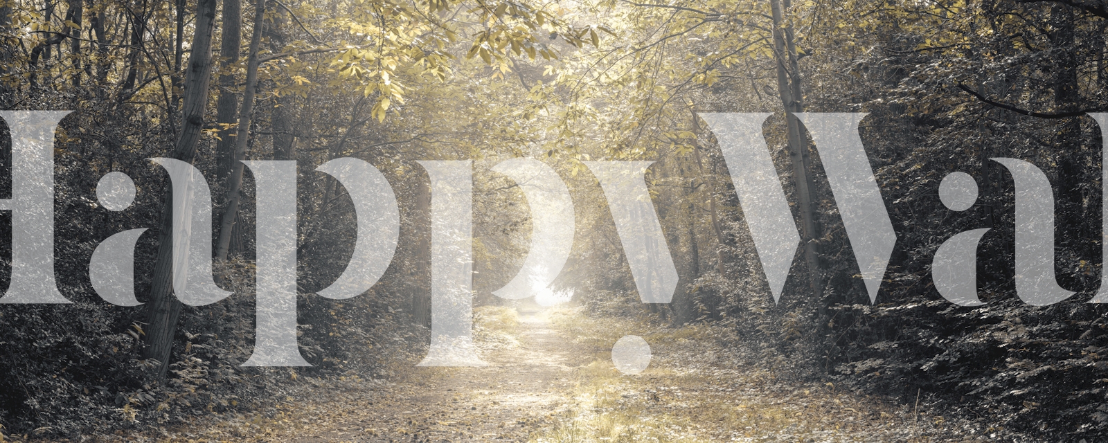 Into the Unknown Wallpaper | happywall.com