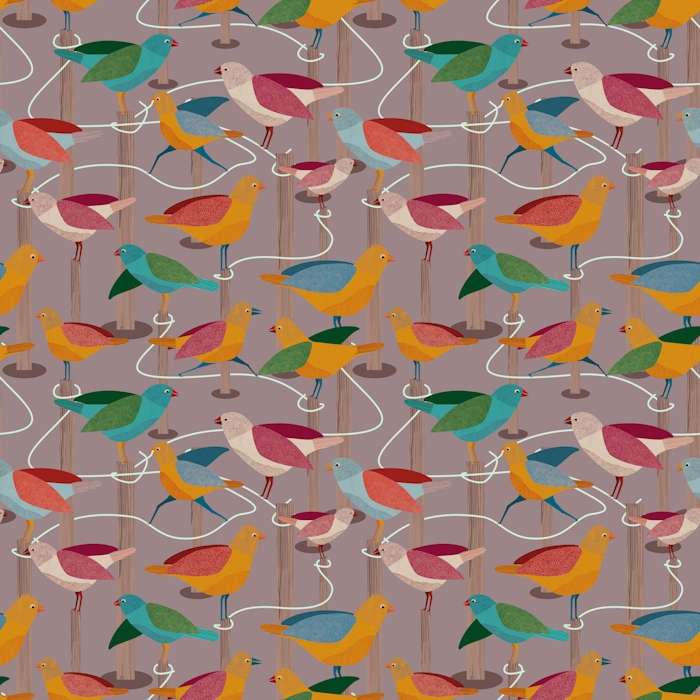 Tweet Tweet Wallpaper - Happywall