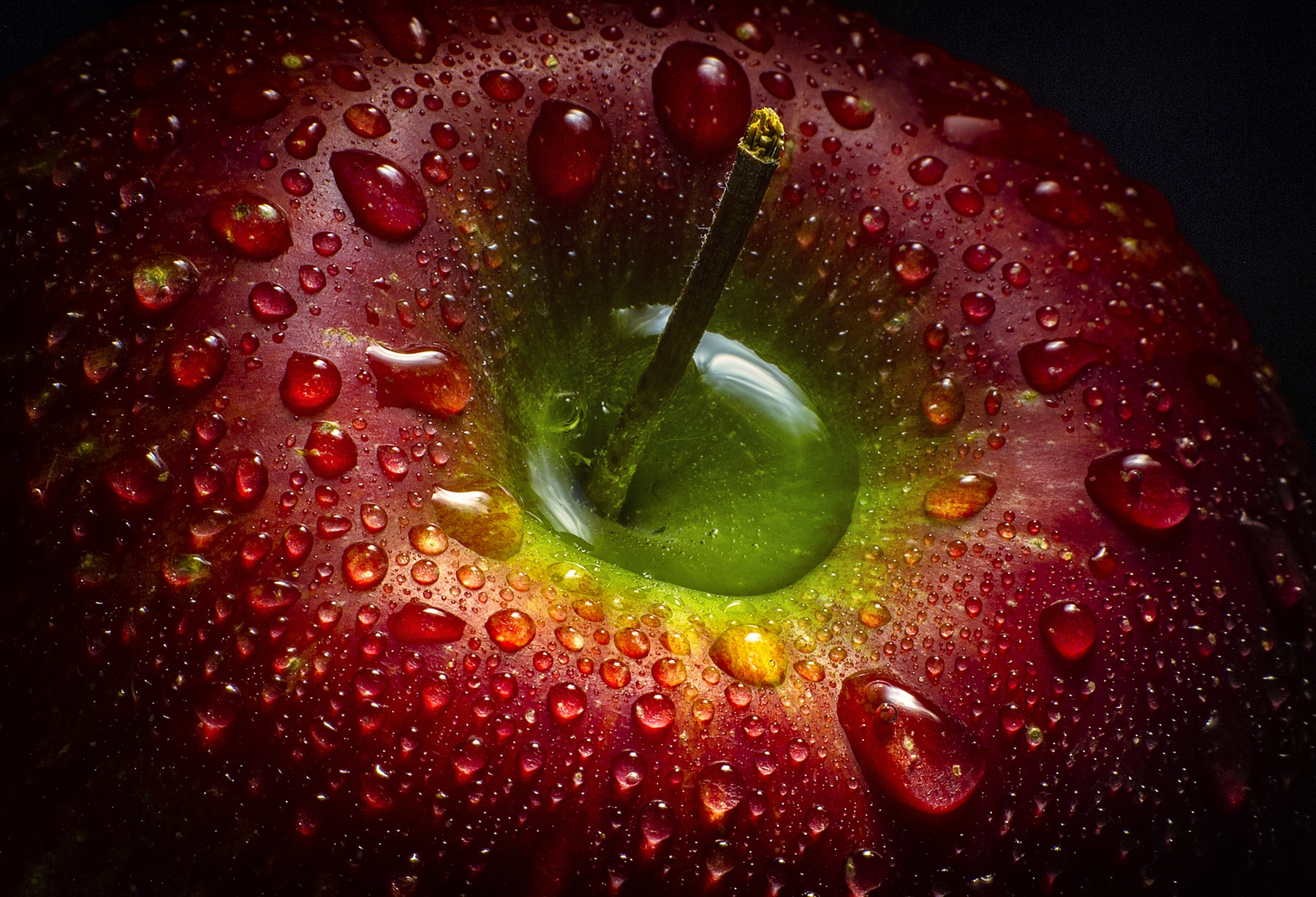 Red Apple Wallpaper | Buy High-Quality Wallpapers Online - Happywall