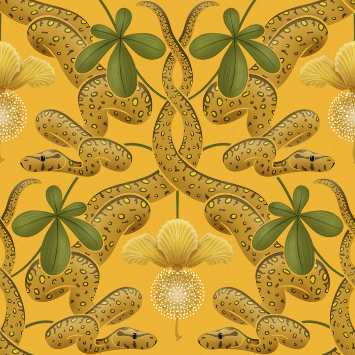 Snakes in the Boabab Tree - Happywall.com