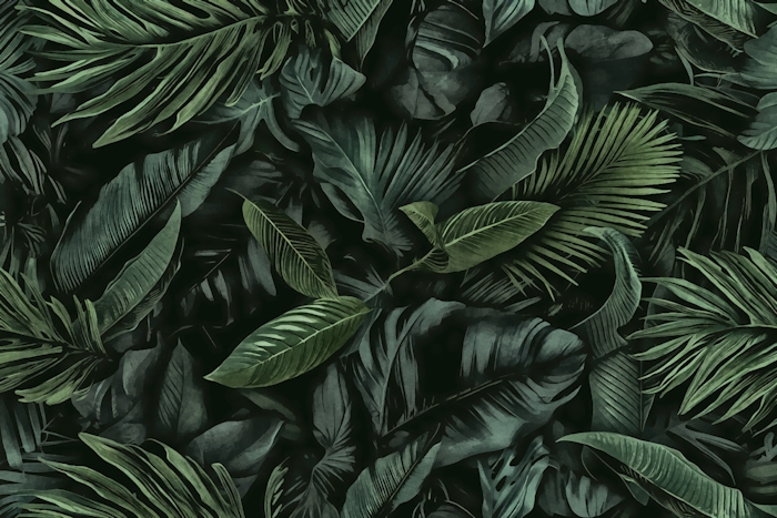 Green Midnight Jungle Tropical Escape - Happywall