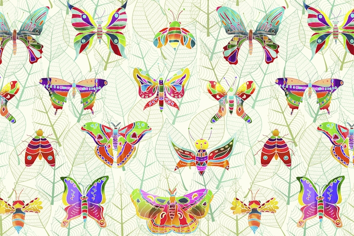 Colorful Butterfly Moths Wallpaper for Kids