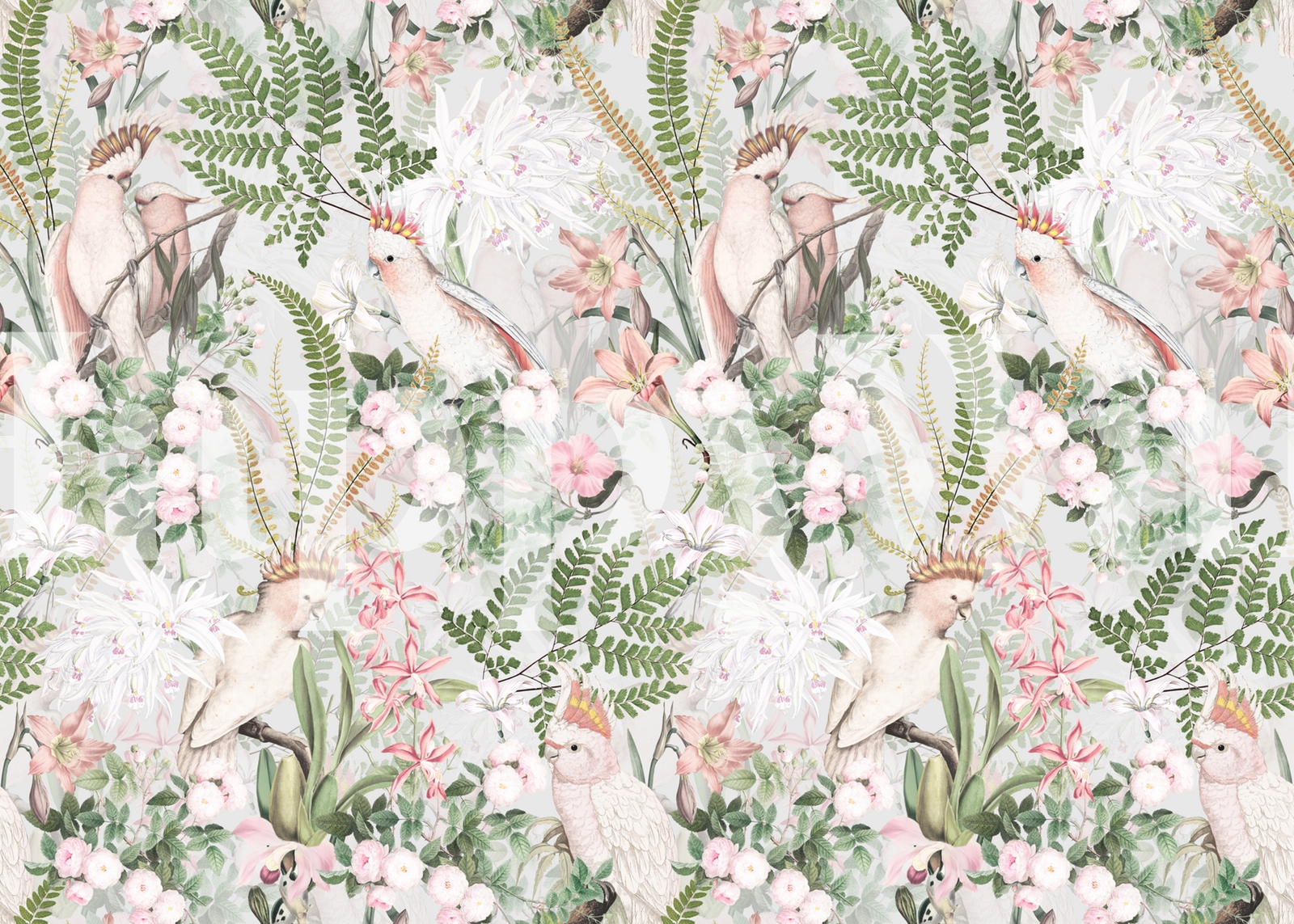 Vintage Cockatoo Jungle 2 Wallpaper Happywall