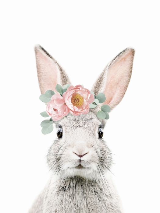 Flower Bunny Wallpaper | happywall.com