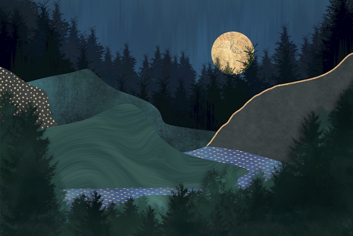 Midnight Forest Full Moon Landscape Wallpaper