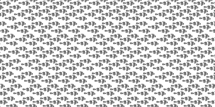 Shimmering Fish Wallpaper | Happywall.com