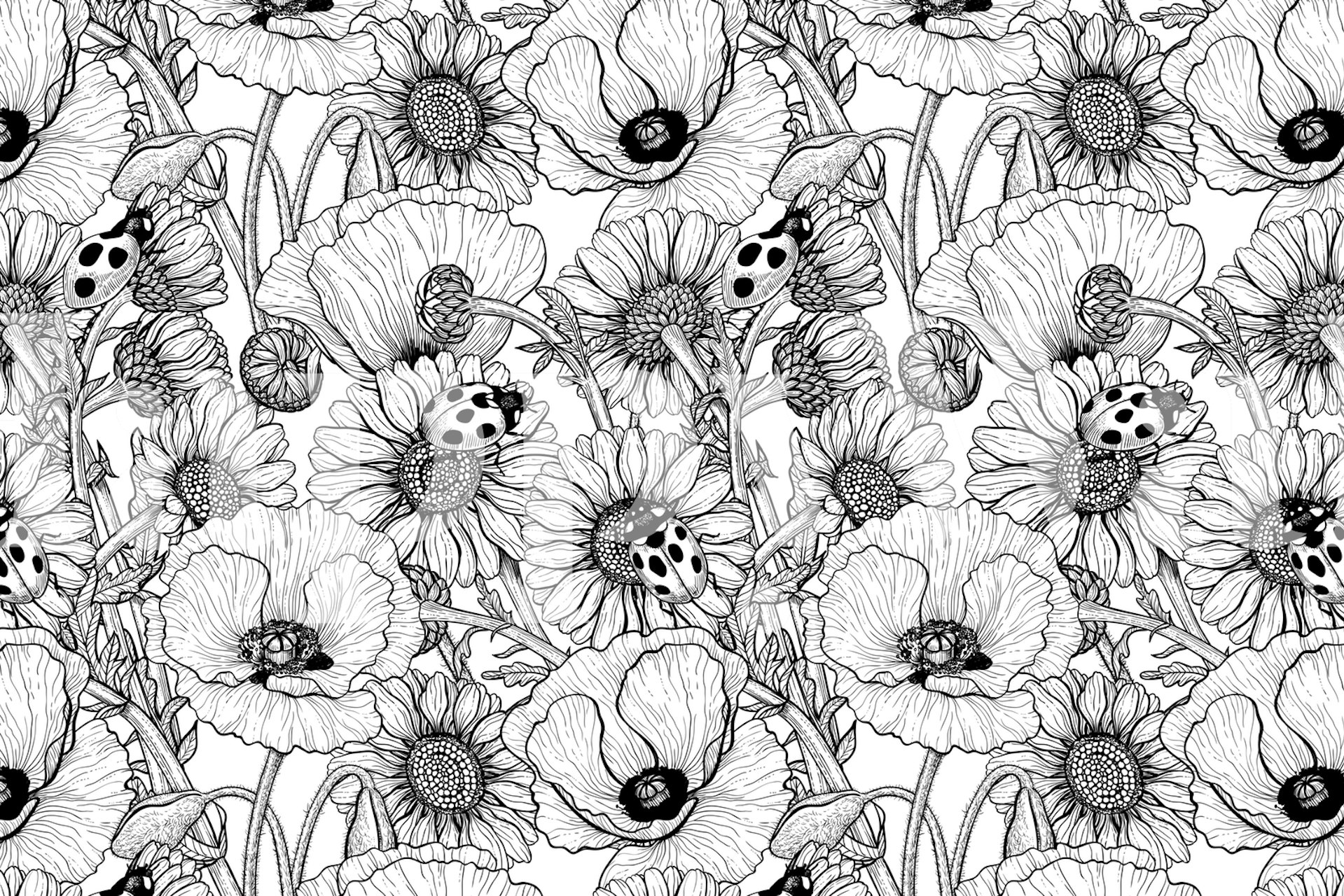 The Meadow in Black and White Wallpaper - Happywall