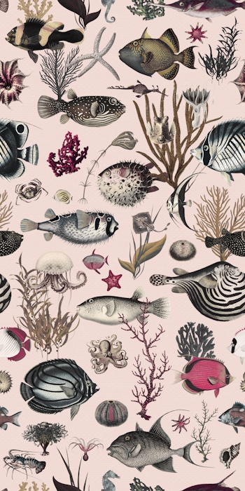 Oceania Pattern Wallpaper - Happywall