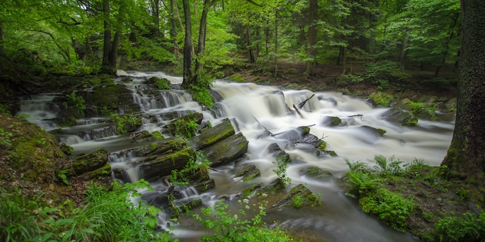 Springtime Magic Veil Falls Wallpaper | Happywall