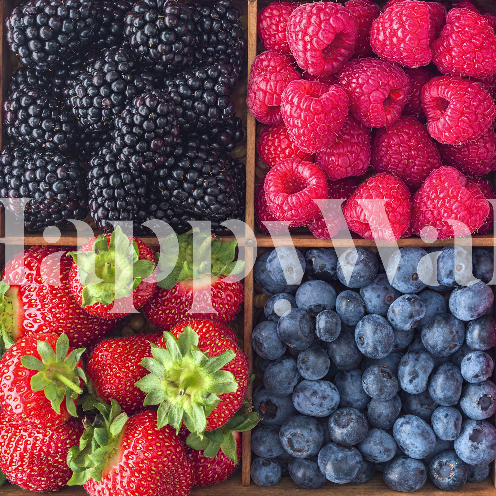 Berry Fruit Wallpaper for Kitchen or Dining Room