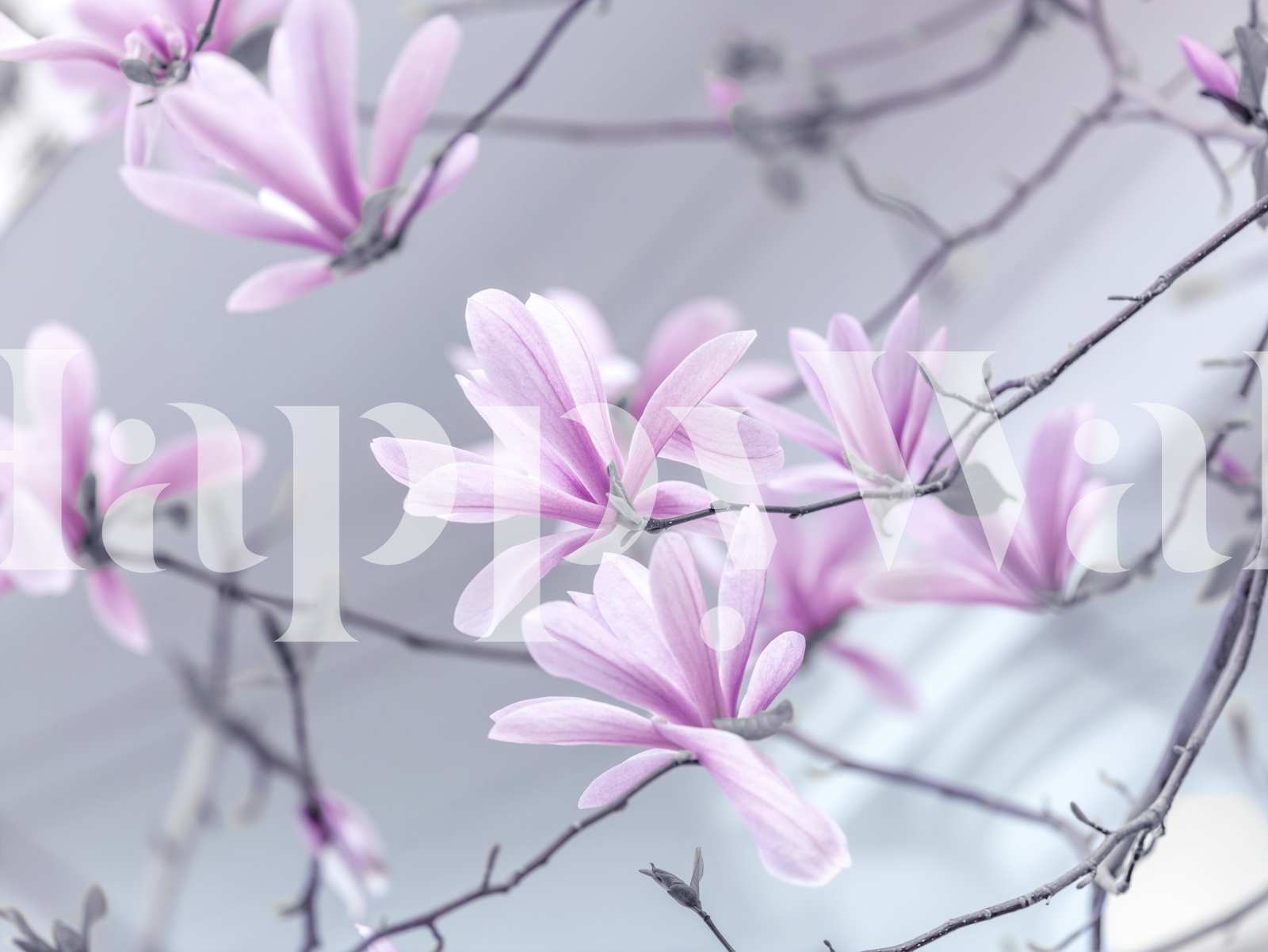 Spring Elegance Wallpaper | happywall.com