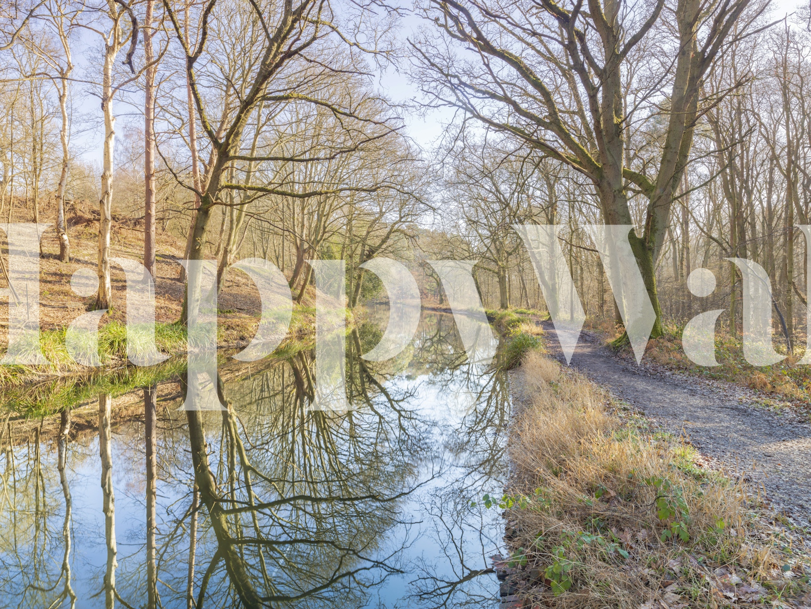 Silent Stream Wallpaper | happywall.com