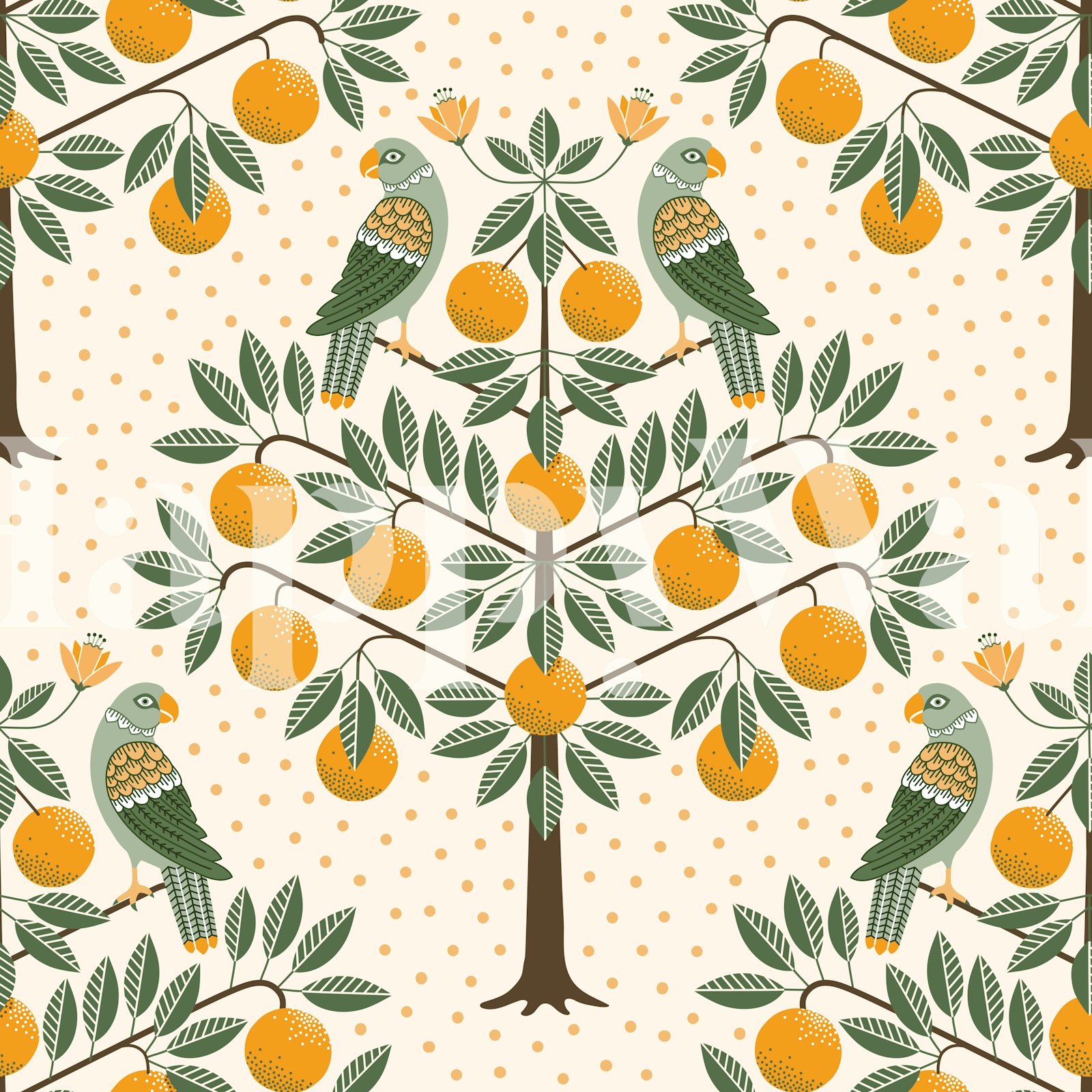 Tropical Parrots and Oranges Wallpaper