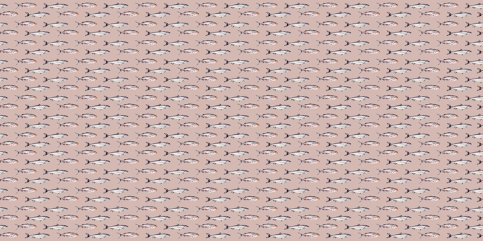 Fish Ocean Pink Wallpaper for Kids Rooms