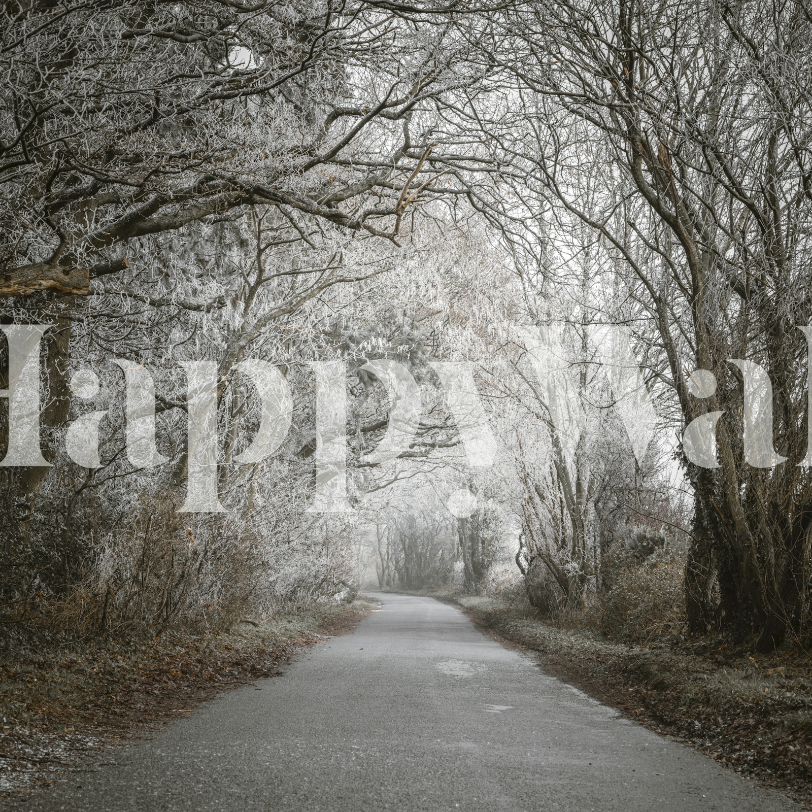 Frozen Journey Wallpaper - Happywall.com