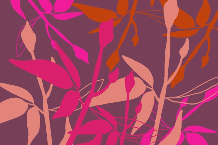 Pink California Flowers Wallpaper | Happywall