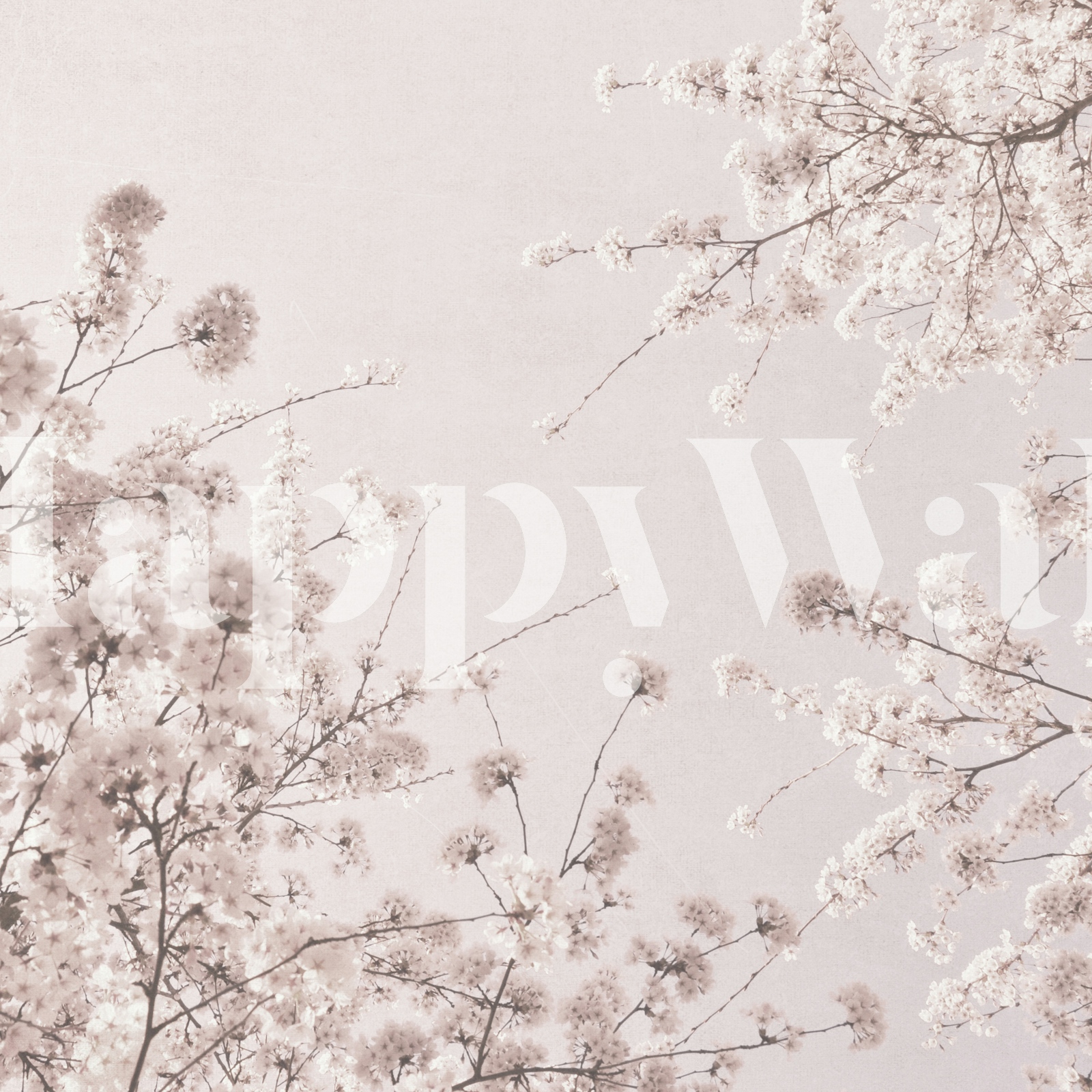 Soft Pink Floral Wallpaper for Home Decor