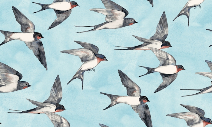 Blue Sky Swallow Flight Wallpaper