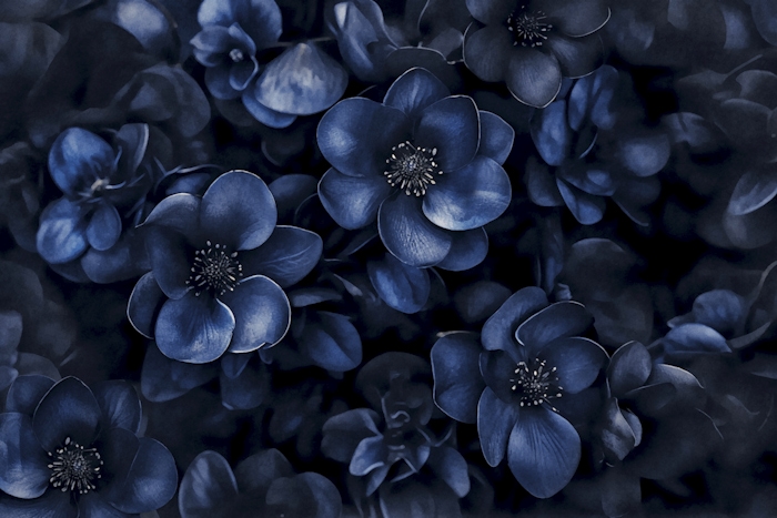 Midnight Blue Floral Wallpaper for Elegant Decor