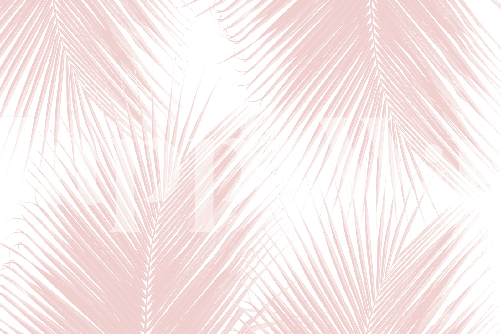 Blush Palm Leaf Wallpaper for Bedroom