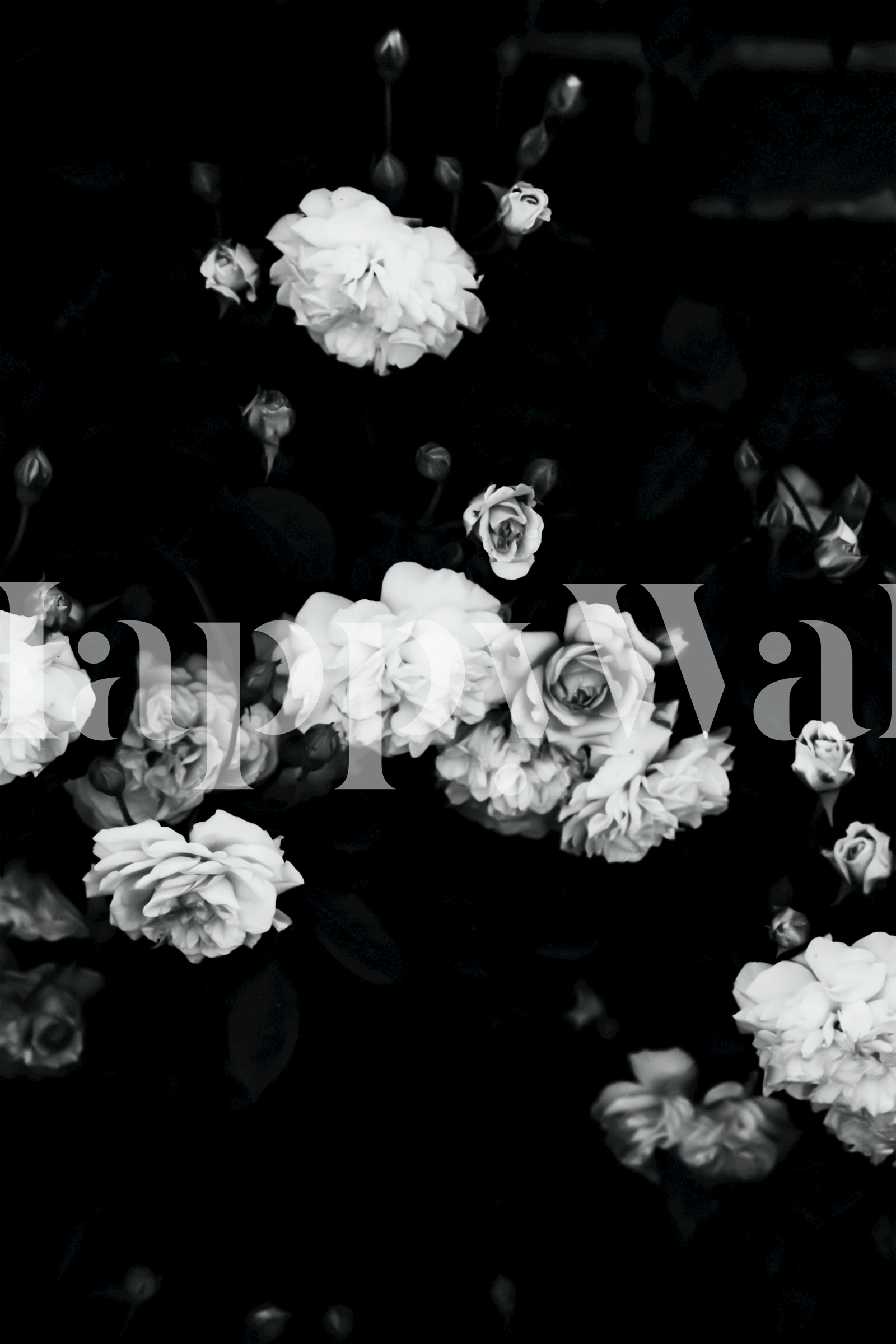 Dark Roses Wallpaper - happywall.com
