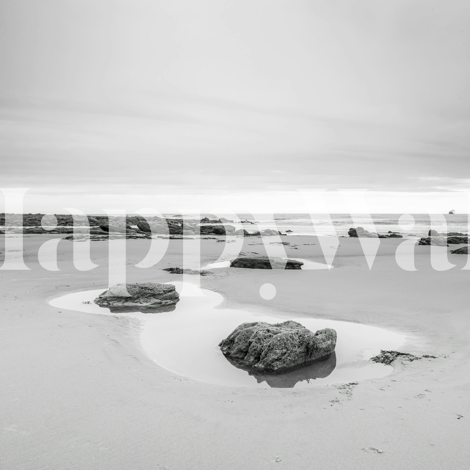 Black and White Tide Pools Wallpaper